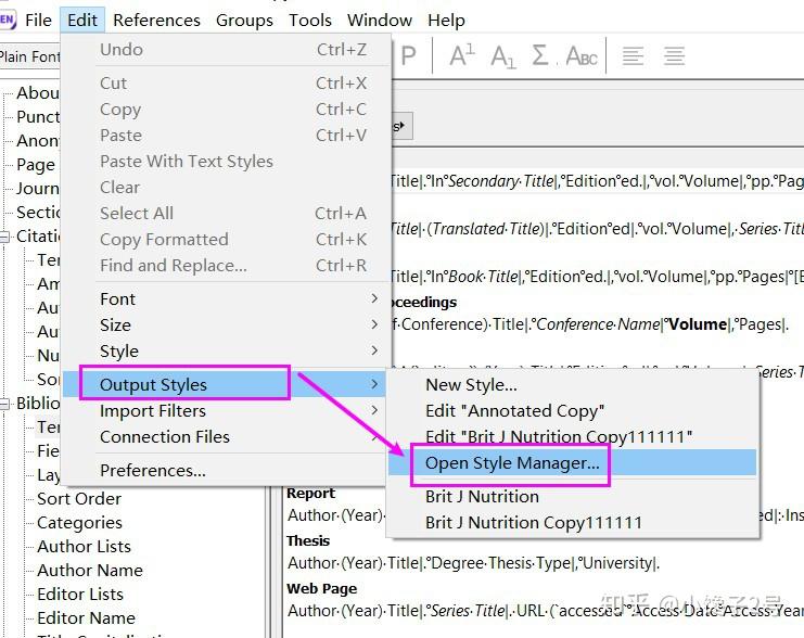 Endnote参考文献如何自己设置？ - 知乎