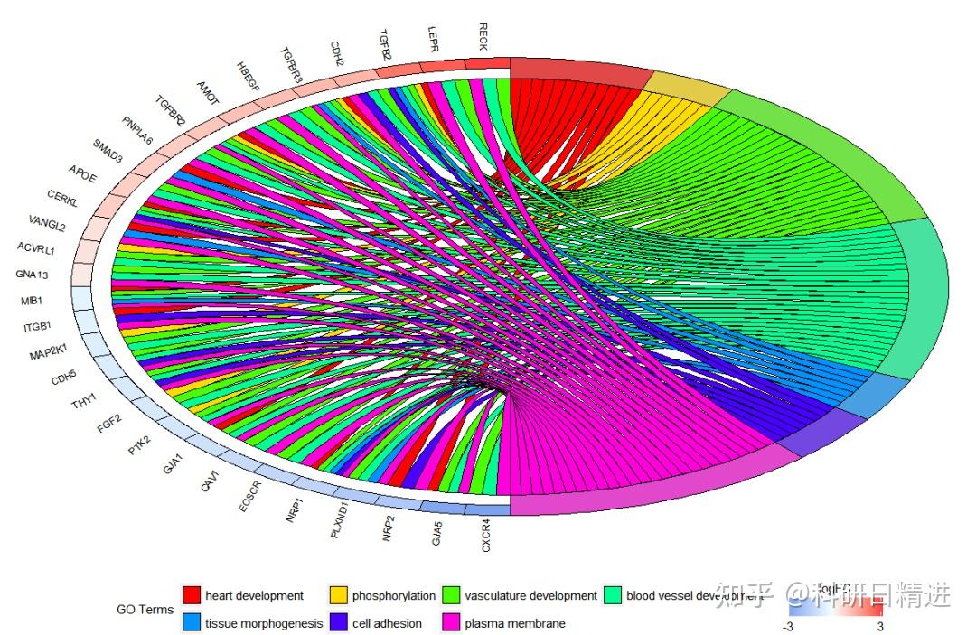 如何使用GOplot画一张精美的GO分析图 - 知乎