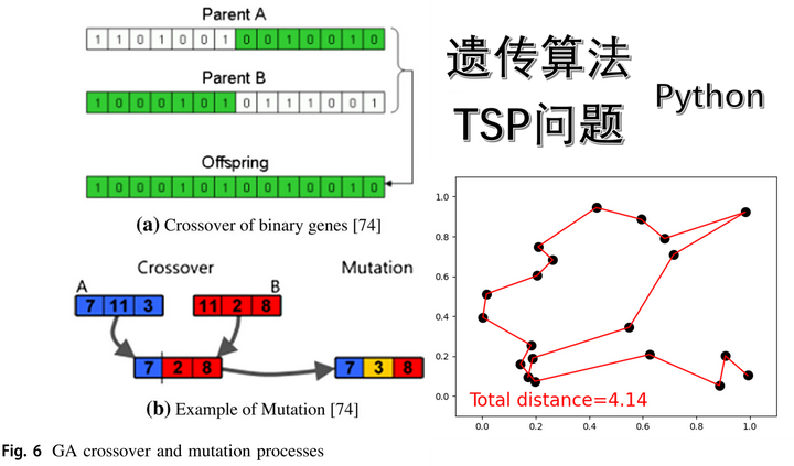 [1] 遗传算法 附python代码 知乎