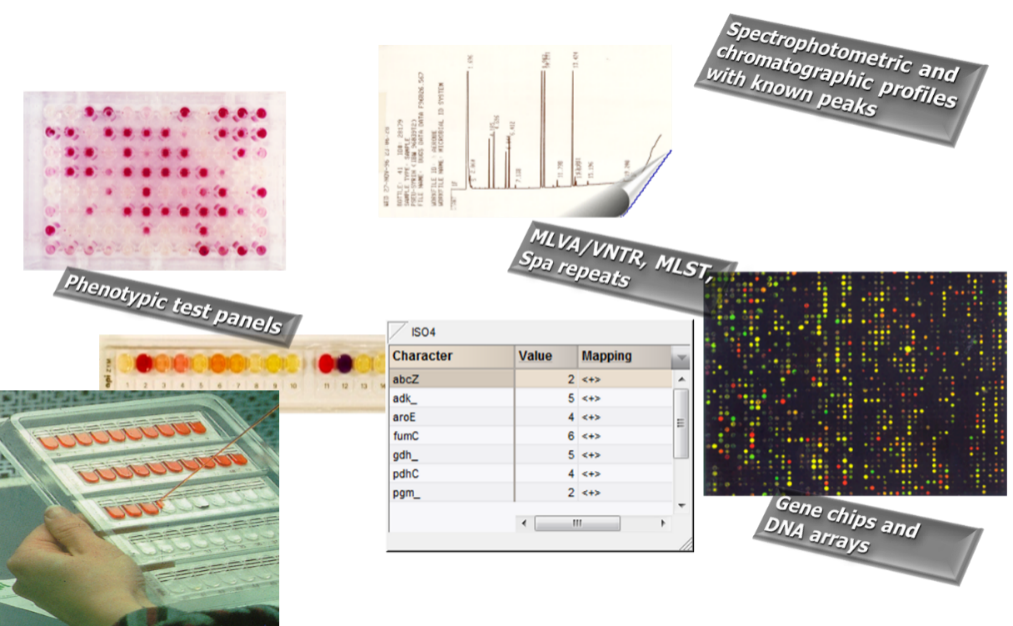 BioNumerics 7.6中文版介绍 - 知乎