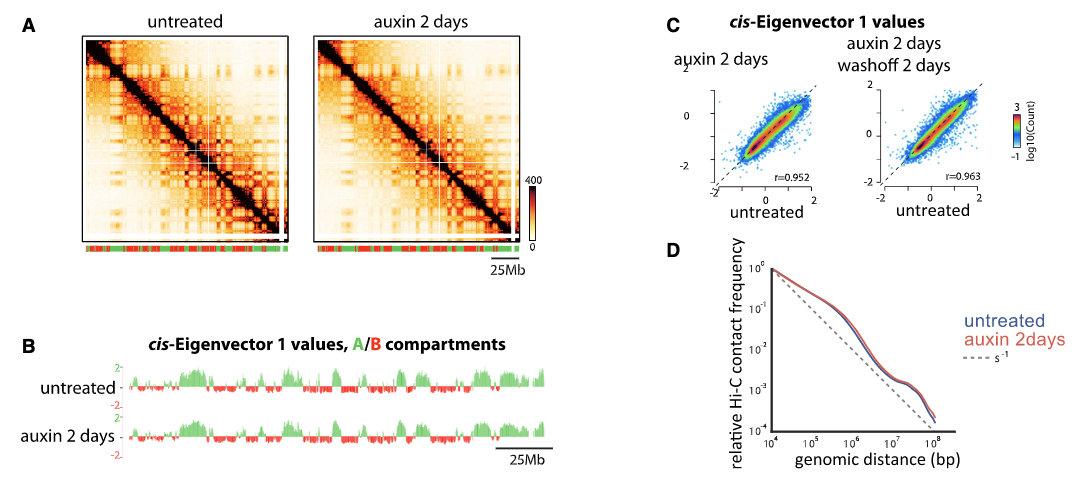 Hi-C实战|重复一篇Hi-C论文的主要结论|Part3文献Methods解读和Hi-C文库质量分析 - 知乎
