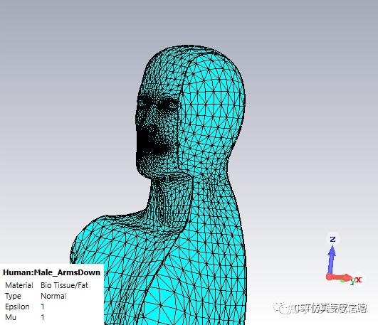CST软件如何将均匀人体空心2D模型填充3D - 知乎