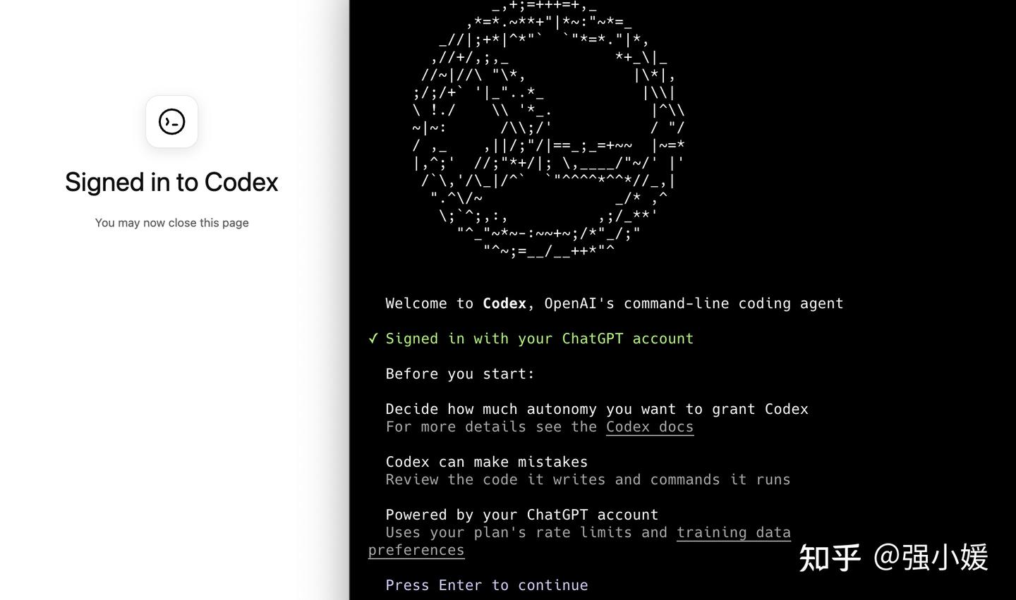 （2026年最新）Codex CLI 国内使用全攻略：终端+Cursor+VSCode+Opencode四种姿势全搞定 - 知乎