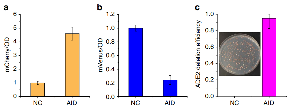如何通过代谢组学研究基因功能？ - 知乎