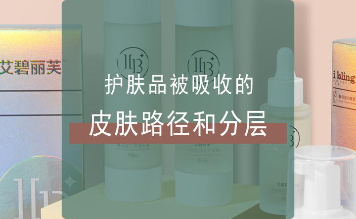 护肤品被吸收的皮肤路径和分层 知乎