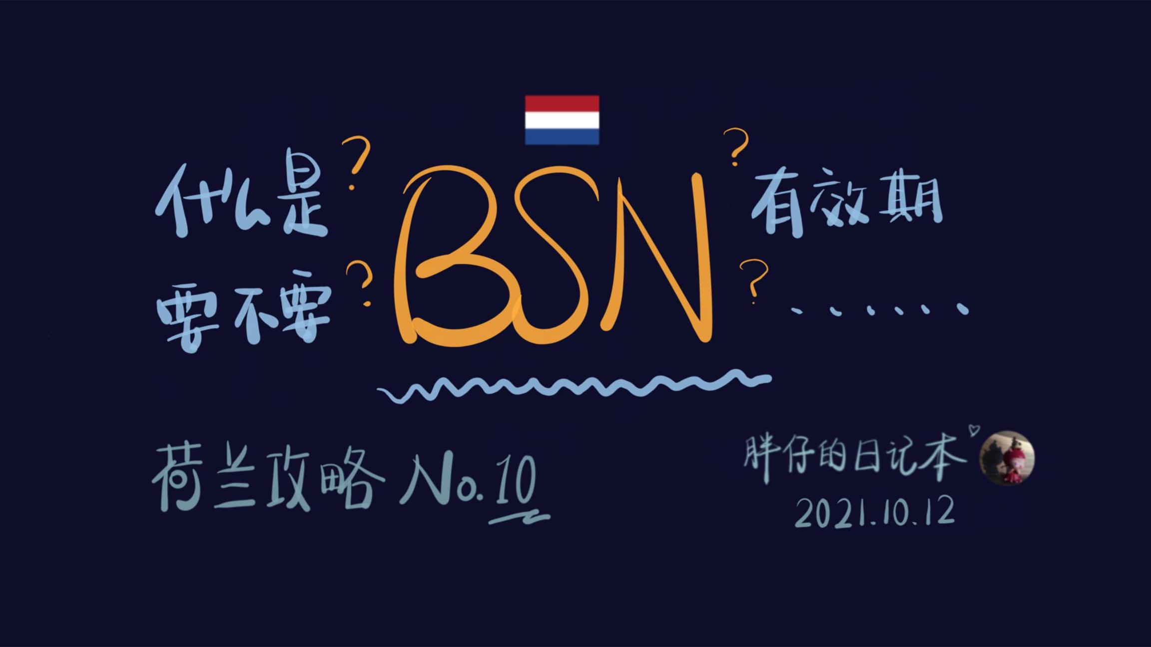 攻略10-BSN是什么？BSN有有效期吗？一些关于BSN的纯干货知识 | 荷兰生活 荷兰留学 荷兰旅游 | 胖仔的荷兰日记 Pangzai's ...