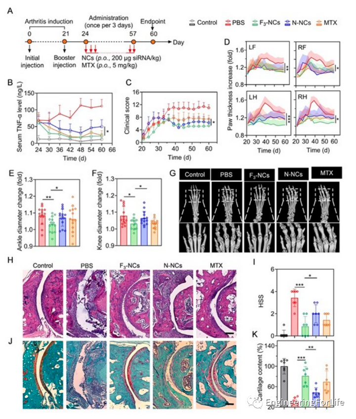 《Adv. Mater.》匠心独运！：口服siRNA纳米胶囊实现抗炎治疗 - 知乎