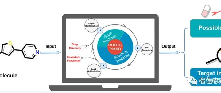 CODD-Pred：药物靶标与活性预测的一站式工具 - 知乎