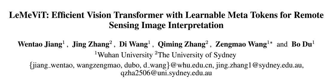 【IJCAI2024】LeMeViT: Efficient Vision Transformer with Learnable Meta ...