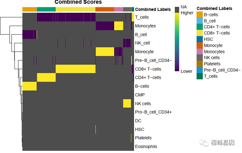 SCS【6】单细胞转录组之细胞类型自动注释 (SingleR) - 知乎
