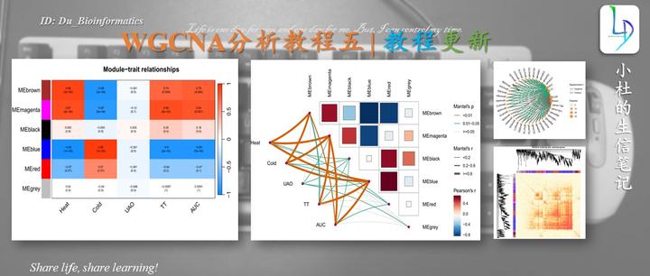 WGCNA分析教程五 | [更新版] - 知乎