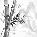 ORA-06575 程序包或函数 处于无效状态 - 知乎