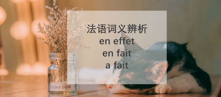 法语词汇辨析/如何正确使用 en effet, en fait, au fait ? - 知乎