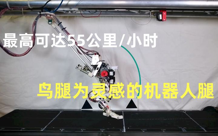 前沿|加州大学最新成果！类鸟机器人 BirdBot，四分之一的能量可达55公里/小时 - 知乎
