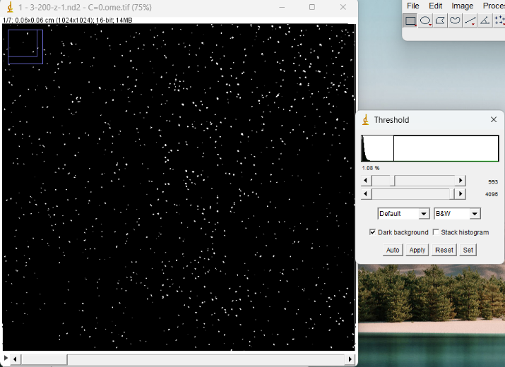 ImageJ图像处理 - CostMat助力生物膜分析与量化 - 知乎