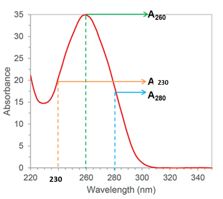 1张图看懂核酸提取的260/280、260/230 - 知乎