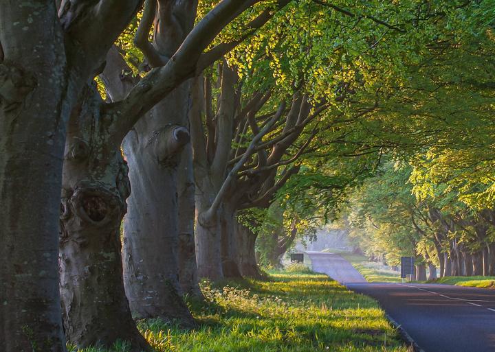 读懂 gradle dependencies - 知乎