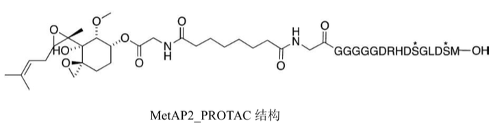 蛋白C活化剂泛素蛋白酶体系统/Fmoc-8-amino-3,6-dioxaoctanoic acid - 知乎