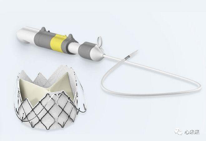 突破性认定！首个国产TAVR瓣膜 - 知乎