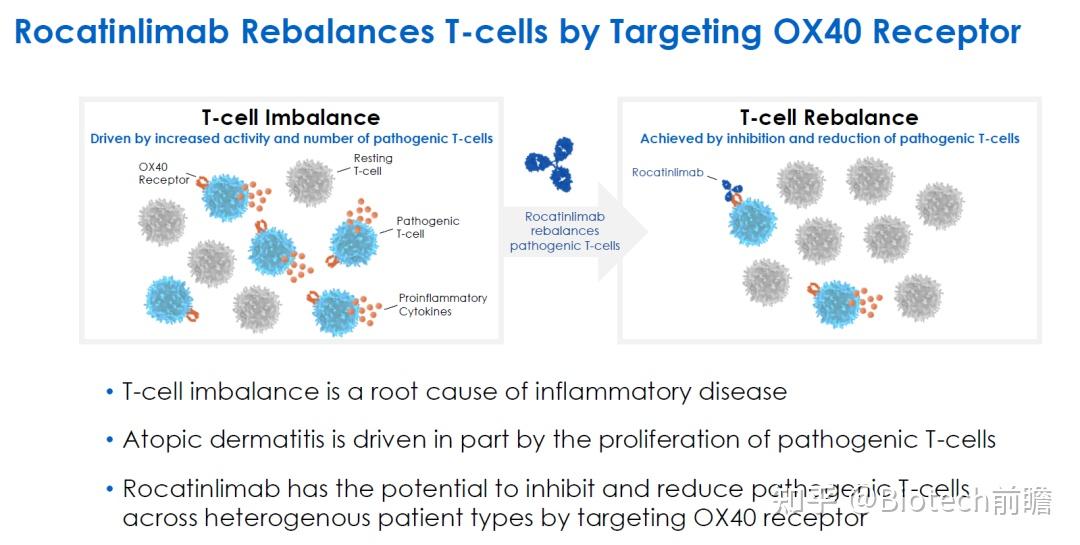 OX40单抗丨安进2项3期成功，和黄/创响紧随其后，冲击自免“药王”度普利尤！ - 知乎