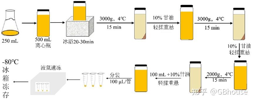 电转化（Electroporation）：感受态细胞制备原理及实操 - 知乎