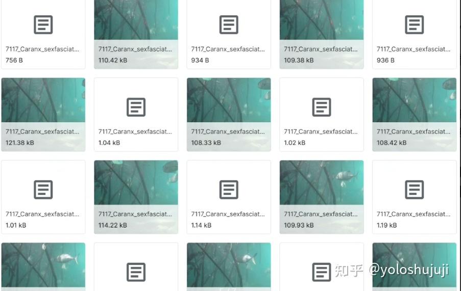 海底水下目标检测数据集支持yolo格式，voc格式，Coco格式20类 9800张 水下生物目标检测 水下数据集 yolov5-v10通用 ...