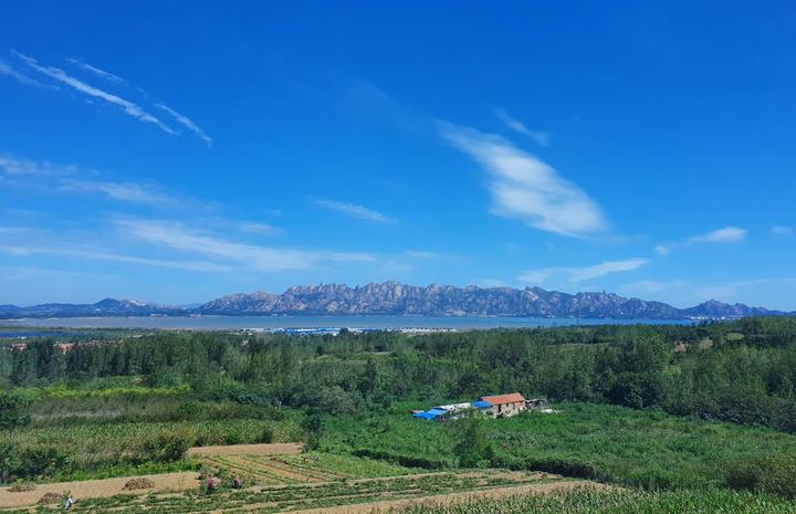 MMSegmentation语义分割基础实验 with Kaggle小鼠肾小球Glomeruli-datase数据 - 知乎