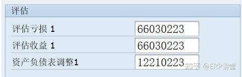 SAP外币评估和GIIR重分类详解 - 知乎