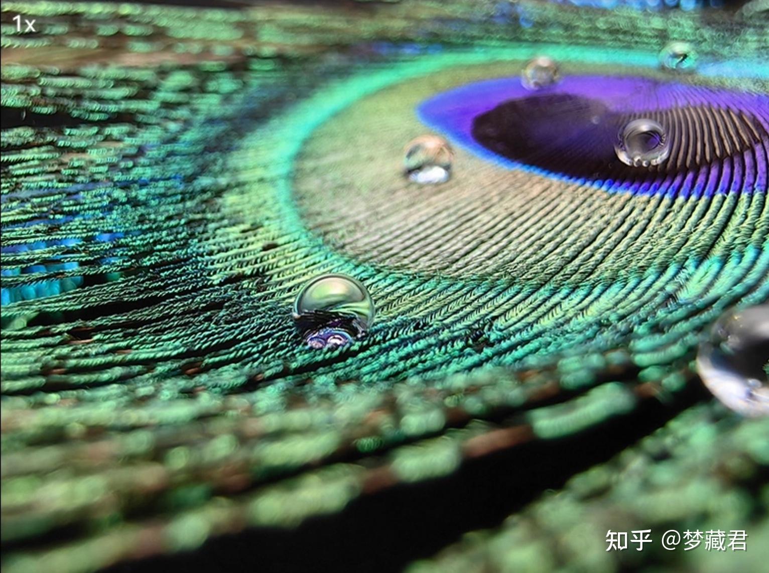 华为 Mate 50RS 和 Mate 50Pro 怎么选择？ - 知乎