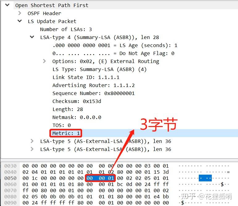 OSPF LSA报文格式总结 - 知乎