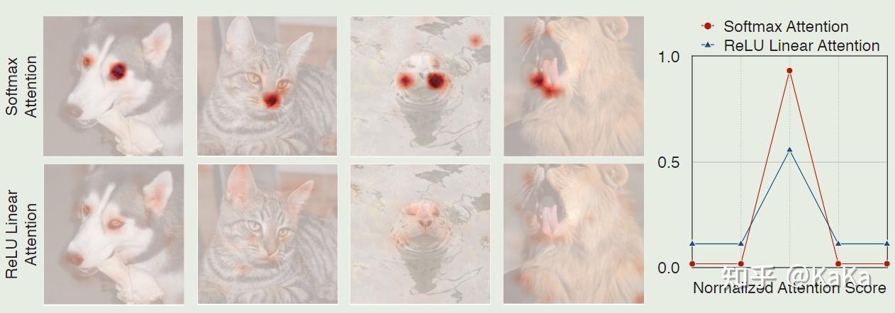 EfficientViT简读 - 知乎