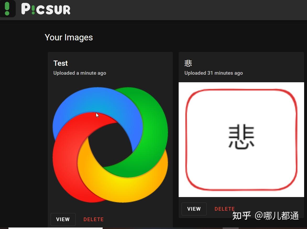 Picsur，一个简单又好用的图床 - 知乎