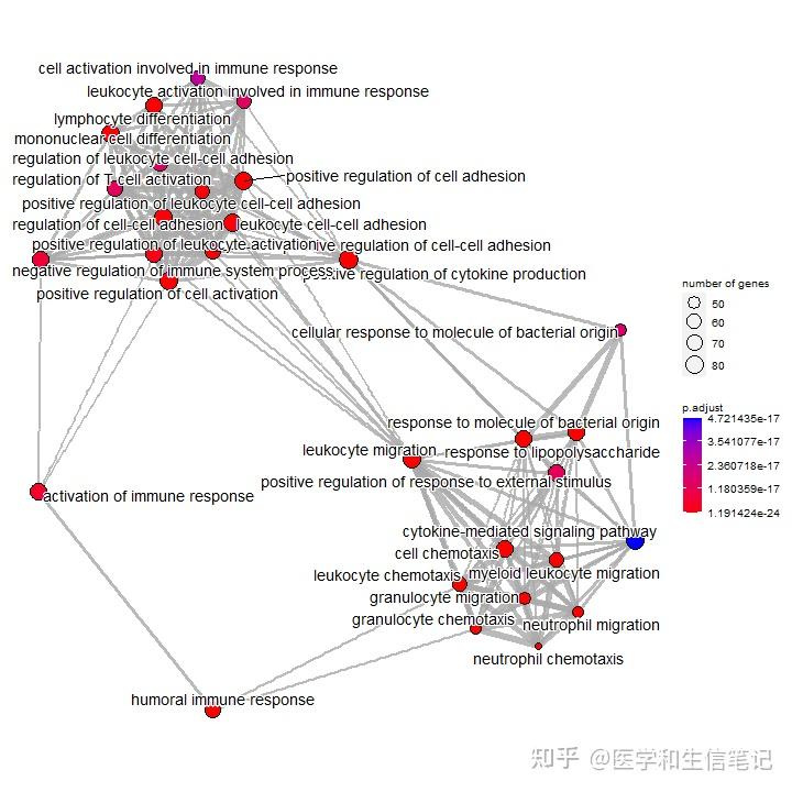enrichplot富集分析可视化 - 知乎