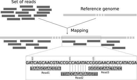 Layout EAD助你瞬间掌握版图寄生参数！告别繁琐手动提取，效率飞升！ - 知乎
