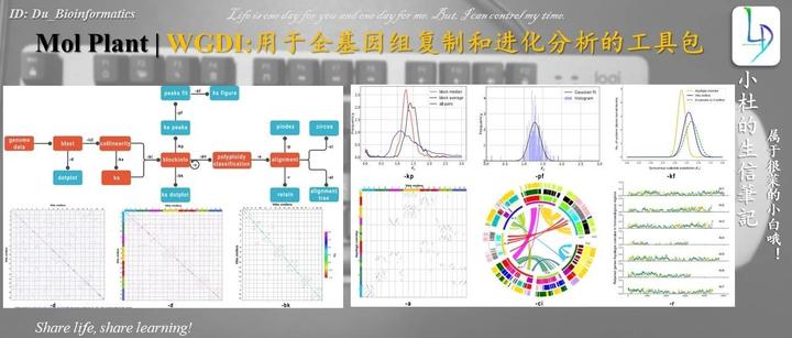Mol Plant | WGDI：用于基因组复制和核型进化分析的工具包 - 知乎