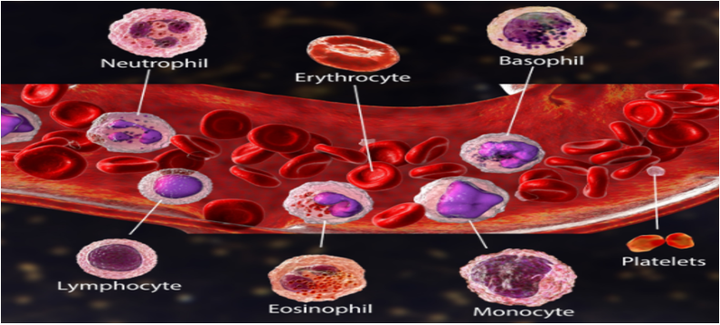 IPHASE/汇智和源 PBMC—药物研发的最佳搭档常见问题解答 - 知乎