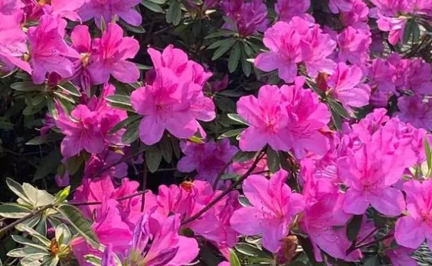 韩国健身网红美女s_ylll 清秀脸蛋紧致曲线 - 知乎