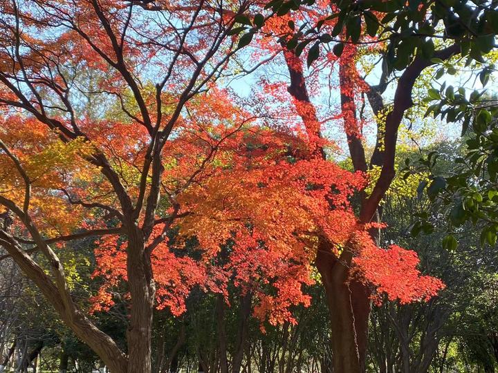 LLM(23)：LLM 中的长文本问题 - 知乎