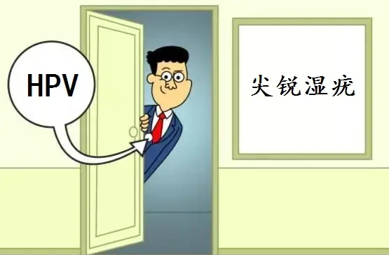 尖锐湿疣治疗期间注意事项有哪些？尖锐湿疣不能吃什么？ 知乎 