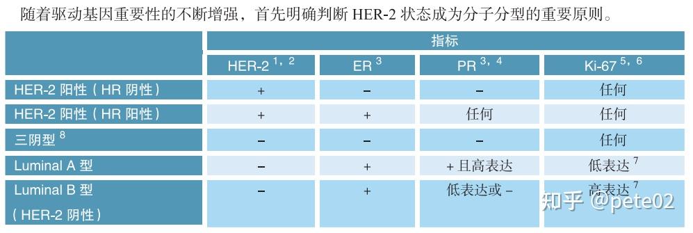 乳腺癌的病理分型和Her2阳性乳腺癌的治疗选择 - 知乎