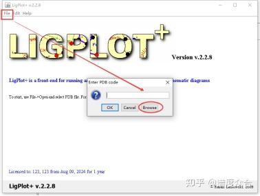 PyMOL×LigPlot+分子对接可视化：解析药靶结合构象与关键残基作 - 知乎
