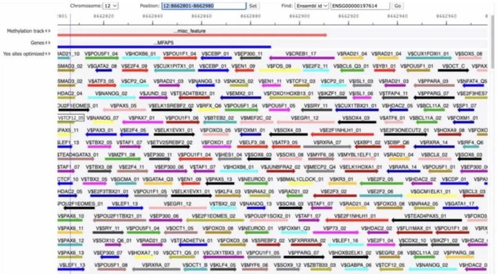 从一团乱麻中梳理生命的乐章-使用TRANSFAC数据库查找Composite Module - 知乎