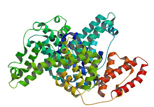 BSA-FITC，BSA/FITC，荧光素异硫氰酸酯标记牛血清白蛋白简介 - 知乎