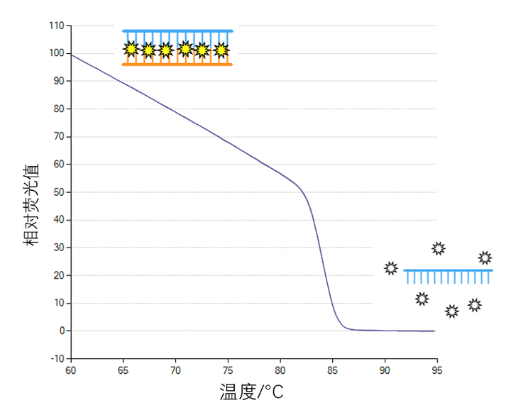 使用高分辨熔解曲线法（HRM）进行基因分型-Quantagene方案 - 知乎