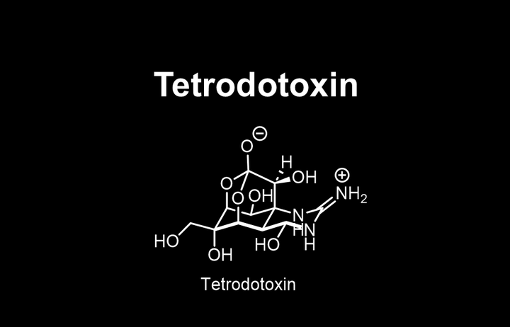 河豚毒素（tetrodotoxin）的全合成 - 知乎