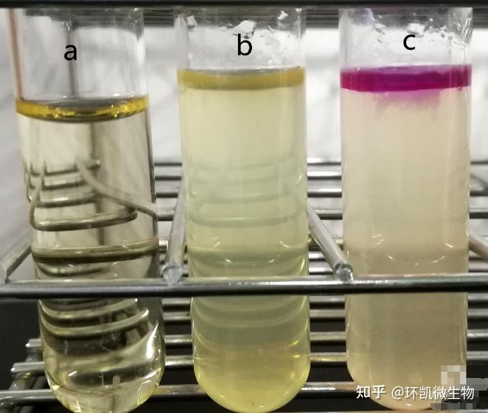 GB4789.4-2016沙门氏菌的检验过程及操作时的注意事项 - 知乎