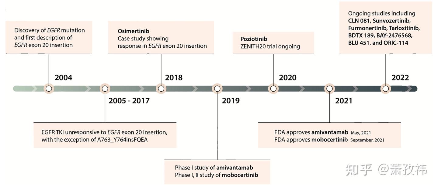万字拆解EGFR - 知乎