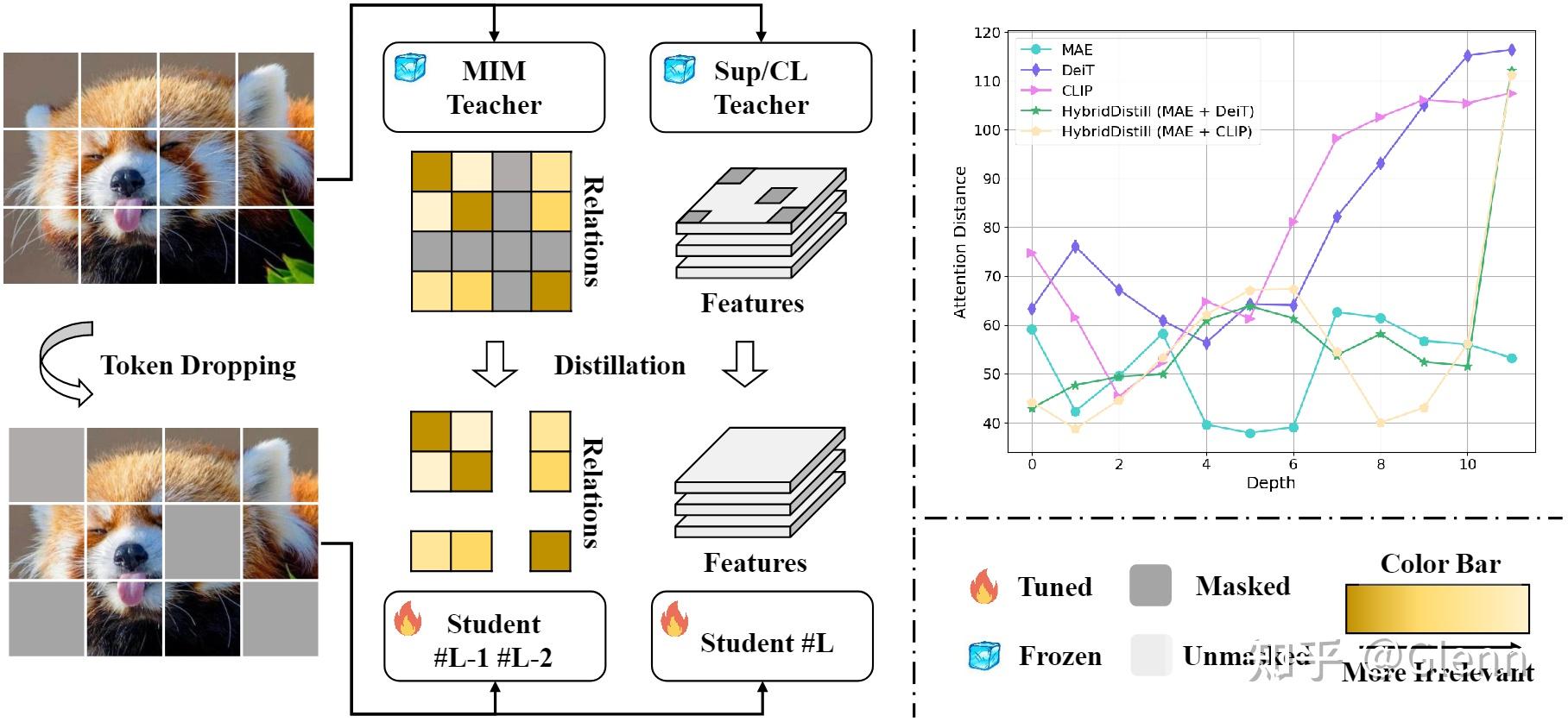 [论文阅读] MIM | Hybrid Distillation：使用知识蒸馏将对比学习与 MIM 结合起来 - 知乎