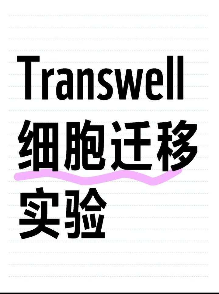 Transwell 细胞迁移实验 - 知乎