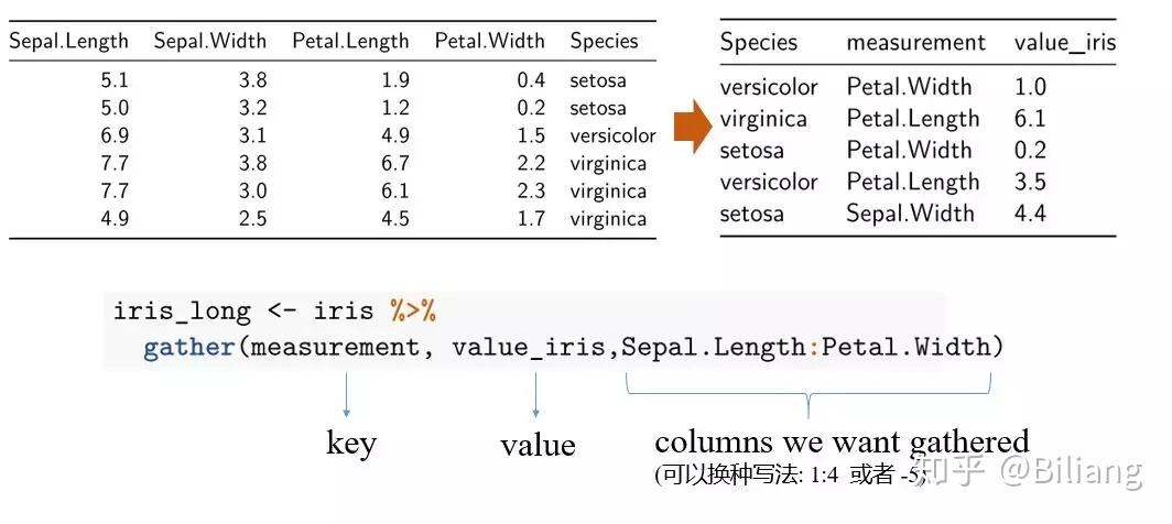 R入门？从Tidyverse学起！ - 知乎